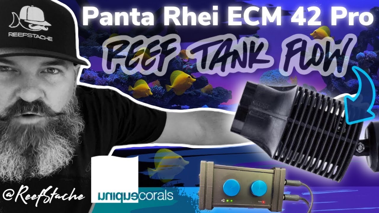 Reef Tank Flow with Panta Rhei ECM 42 Pro wavemaker pump @ReefStash ...