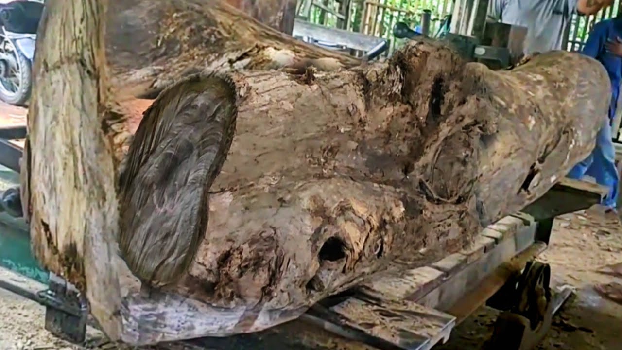 The process of cutting damaged wood into thick slabs at a sawmill - YouTube