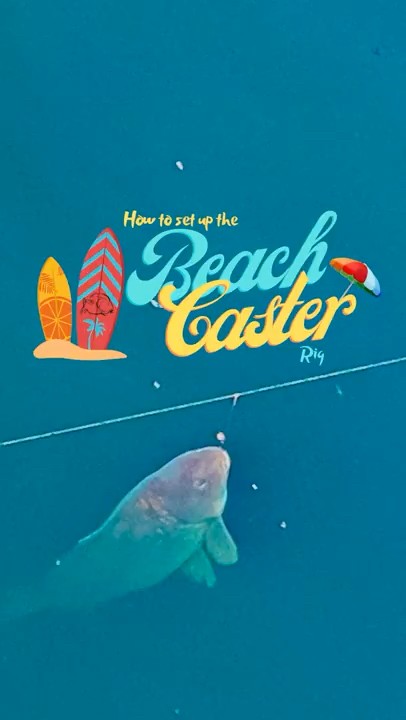 Beach Caster Rig Setup for Carp fishing🎣🏝️ - YouTube