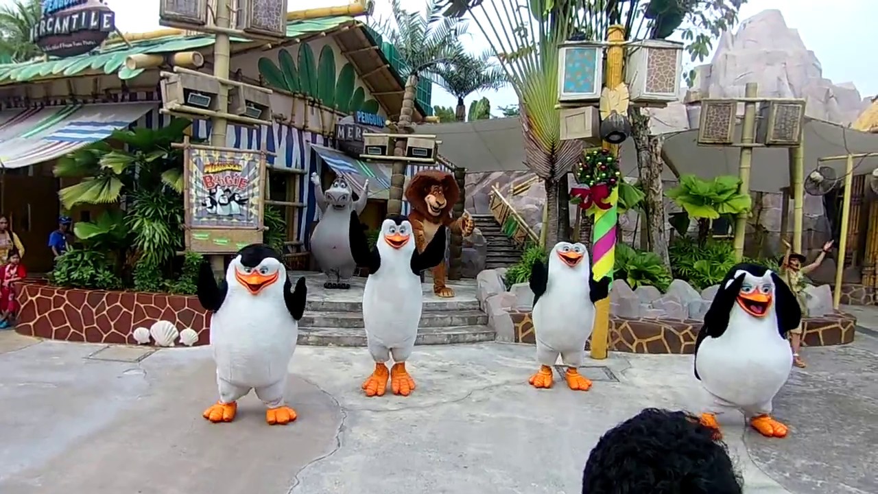 Madagascar dance show - YouTube