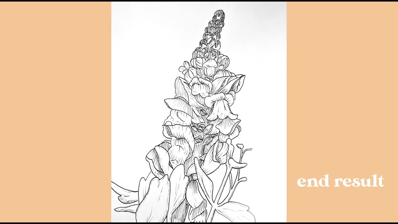 Speed Drawing - 'Snapdragons' Flower Drawing 🌷 - YouTube