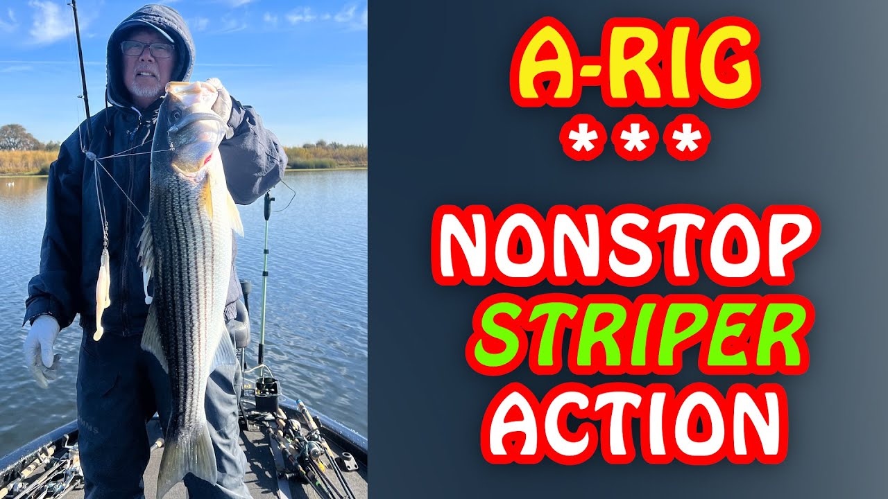 Target A-Rig Stripers - (EASY LIMITS in the Winter) - YouTube
