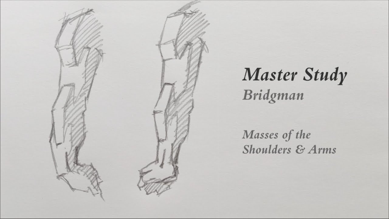 Master Study -- Bridgman, Masses of the Shoulders and Arms [Pencil on ...