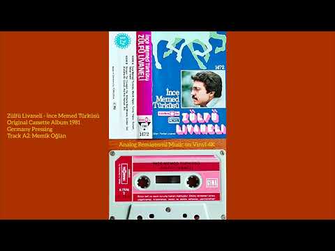 Zülfü Livaneli / Guitar: Ferhat Livaneli - Memik Oğlan (Original Cassette Song 1981) 4K