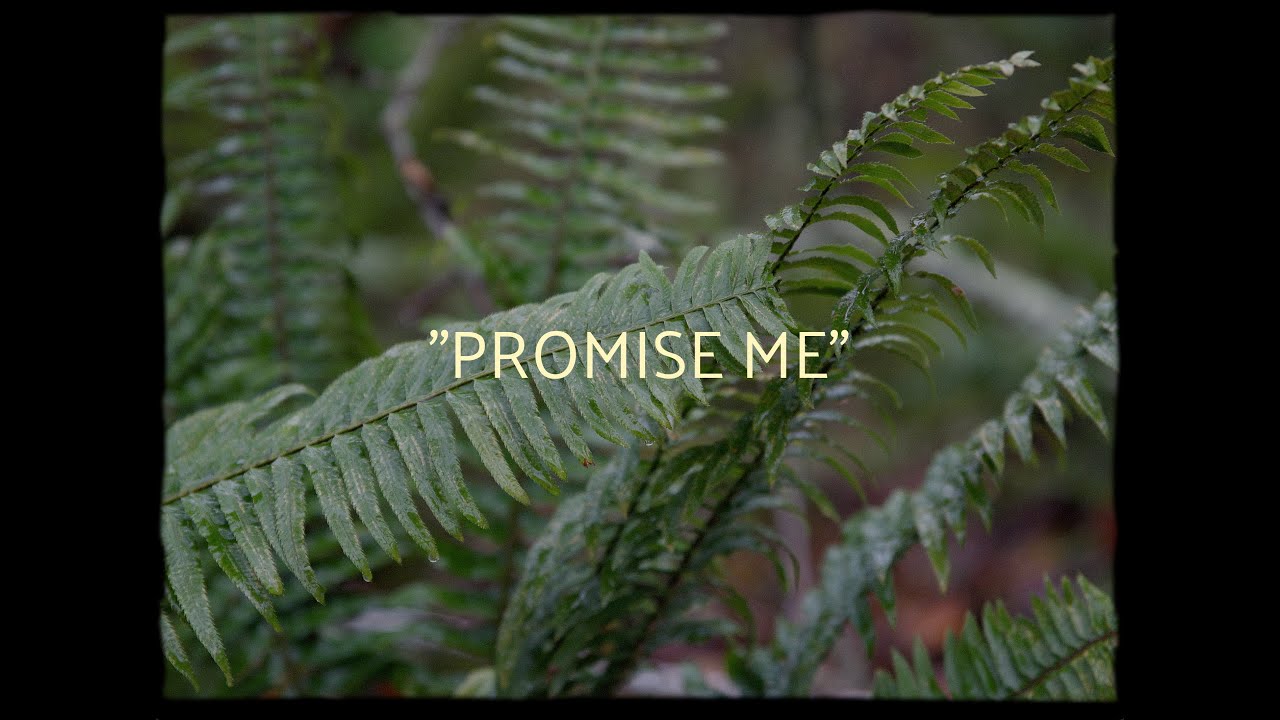 promise me (visual) - YouTube