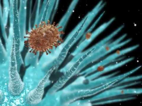 Man Made Viruses as Bio-NanoTechnology (how this new virus works) - YouTube