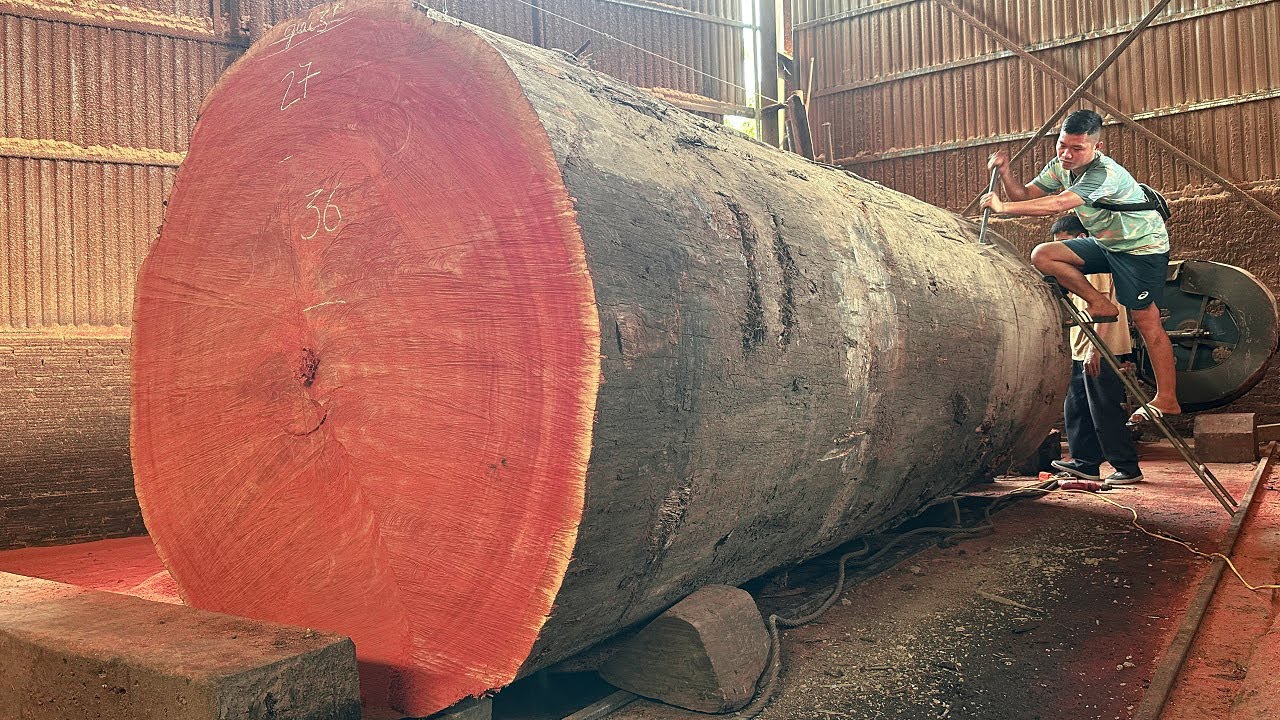 The Most Modern Fastest Cutting Saw // Huge Giant Tree Cutting Saw ...