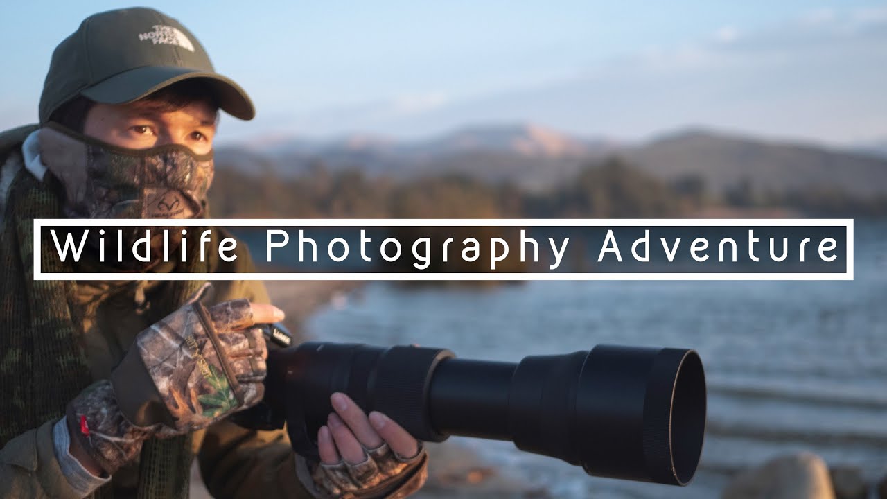WILDLIFE PHOTOGRAPHY ADVENTURE | Close Encounters on Avocado Lake - YouTube