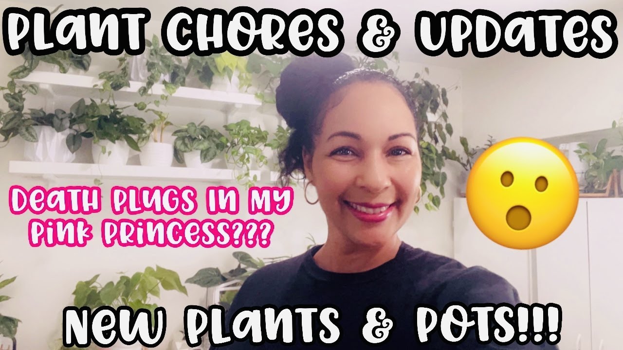 Plant Chores & Updates || New Plants & Pots || Death Plugs in My Pink ...