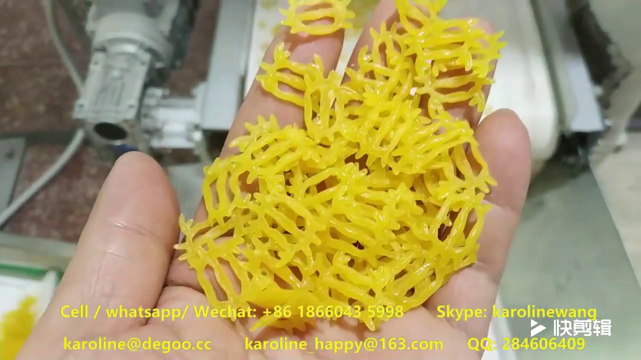 2d 3d snacks pellet pallet fryums papad food continuous drying machine ...