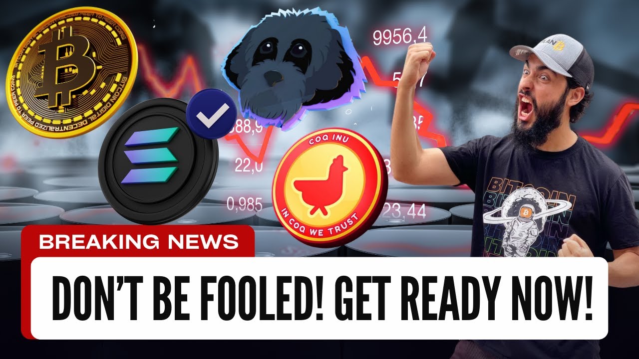 The Cryptocurrency Market Daily Update! Bitcoin Ordinals 25X | SOLANA ...