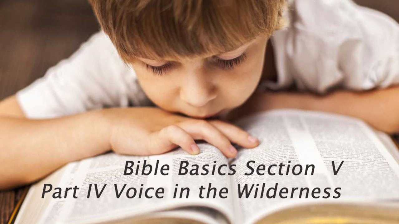 SECTION 5 Part4 THE VOICE IN THE WILDERNESS - YouTube