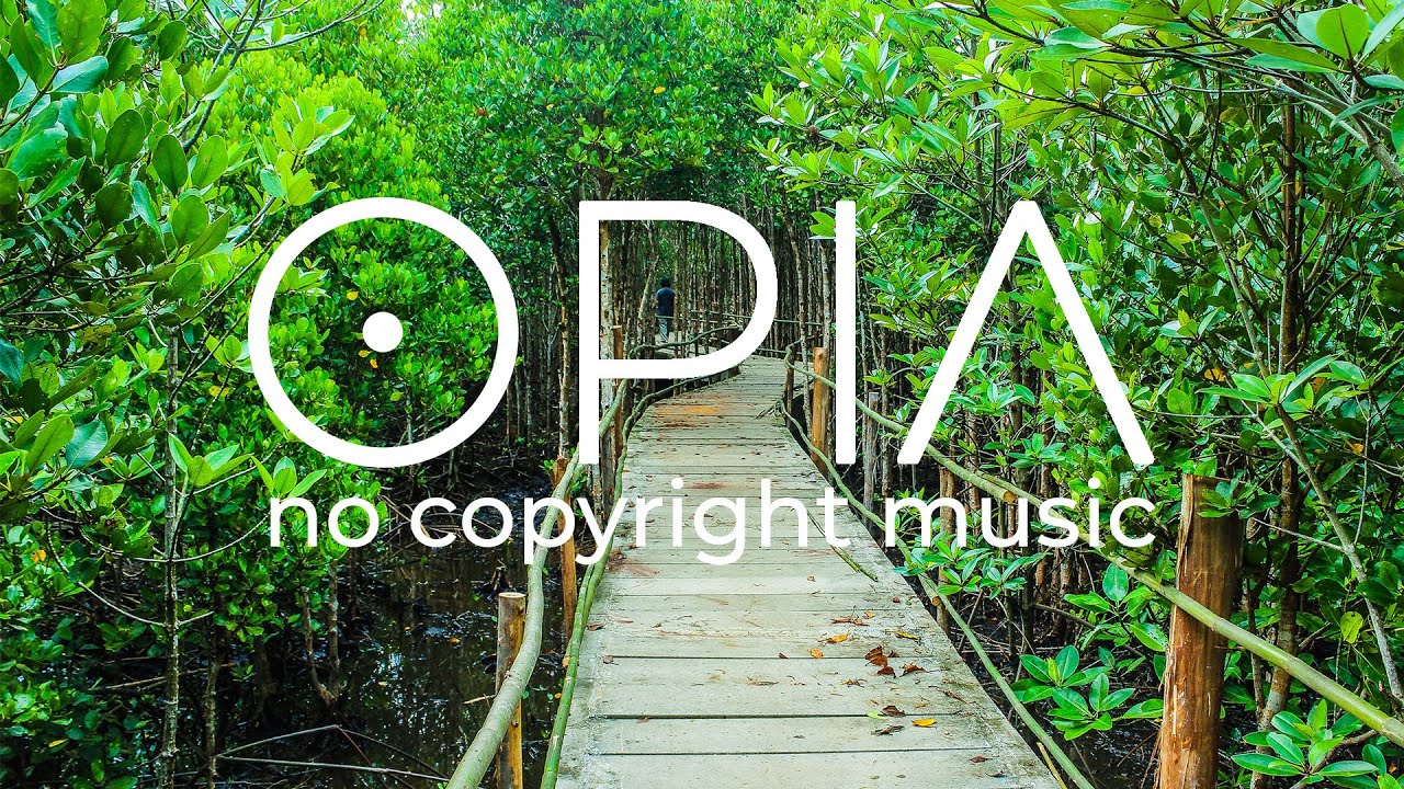 Ambient Piano with Birds Singing | OPIA No Copyright Free Music ...