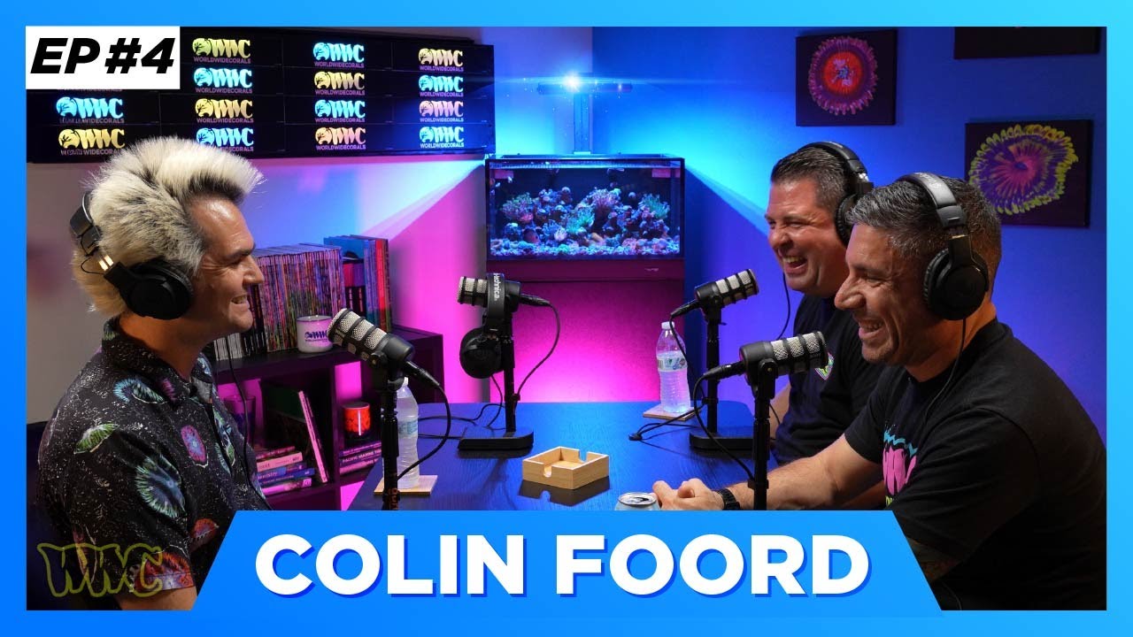 WWC Podcast EP. 4 | Turning Reefs Into Art: Colin Foord on Coral ...