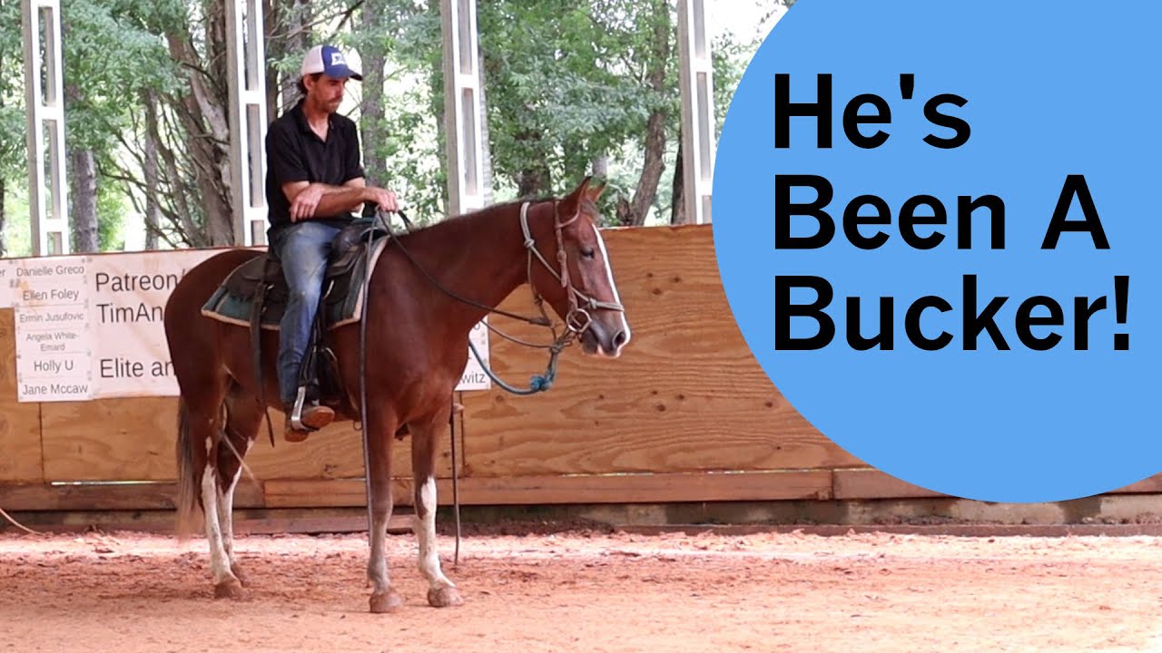 Finally a ride with no buck! - YouTube