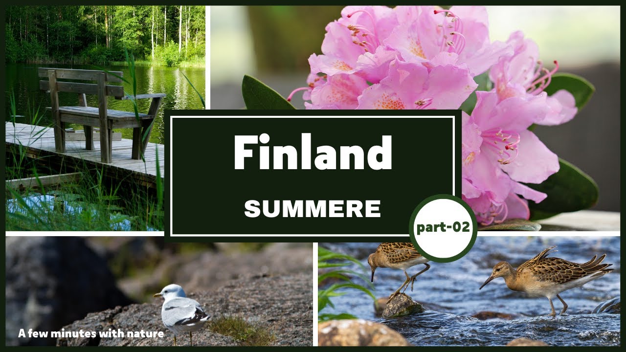 Summer Nature in Finland | Finland summer - YouTube