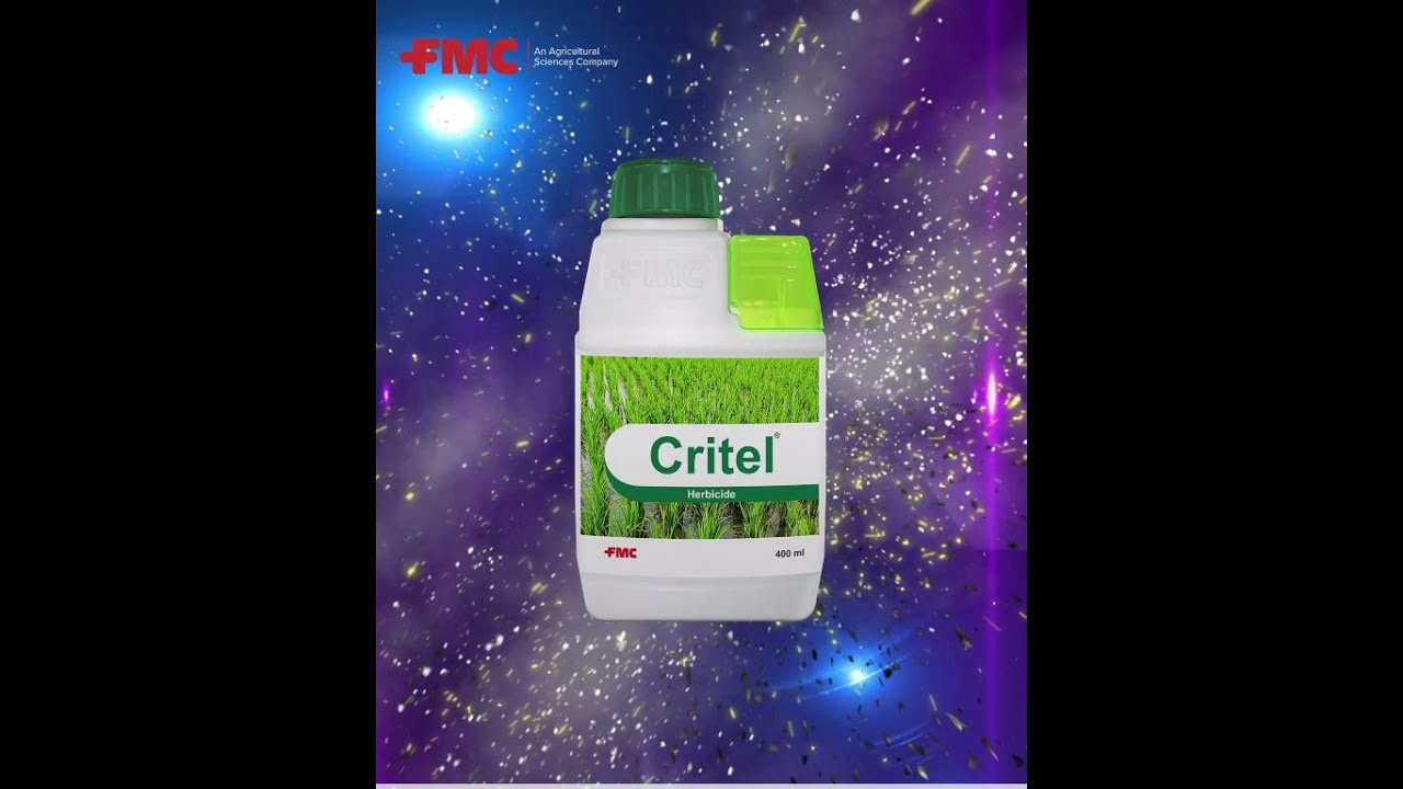 Critel® Digital Launch Video | Andhra Pradesh | Telugu - YouTube