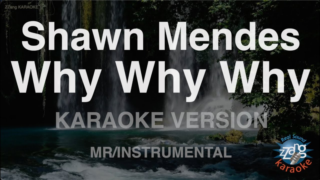 Shawn Mendes-Why Why Why (MR/Instrumental) (Karaoke Version) - YouTube