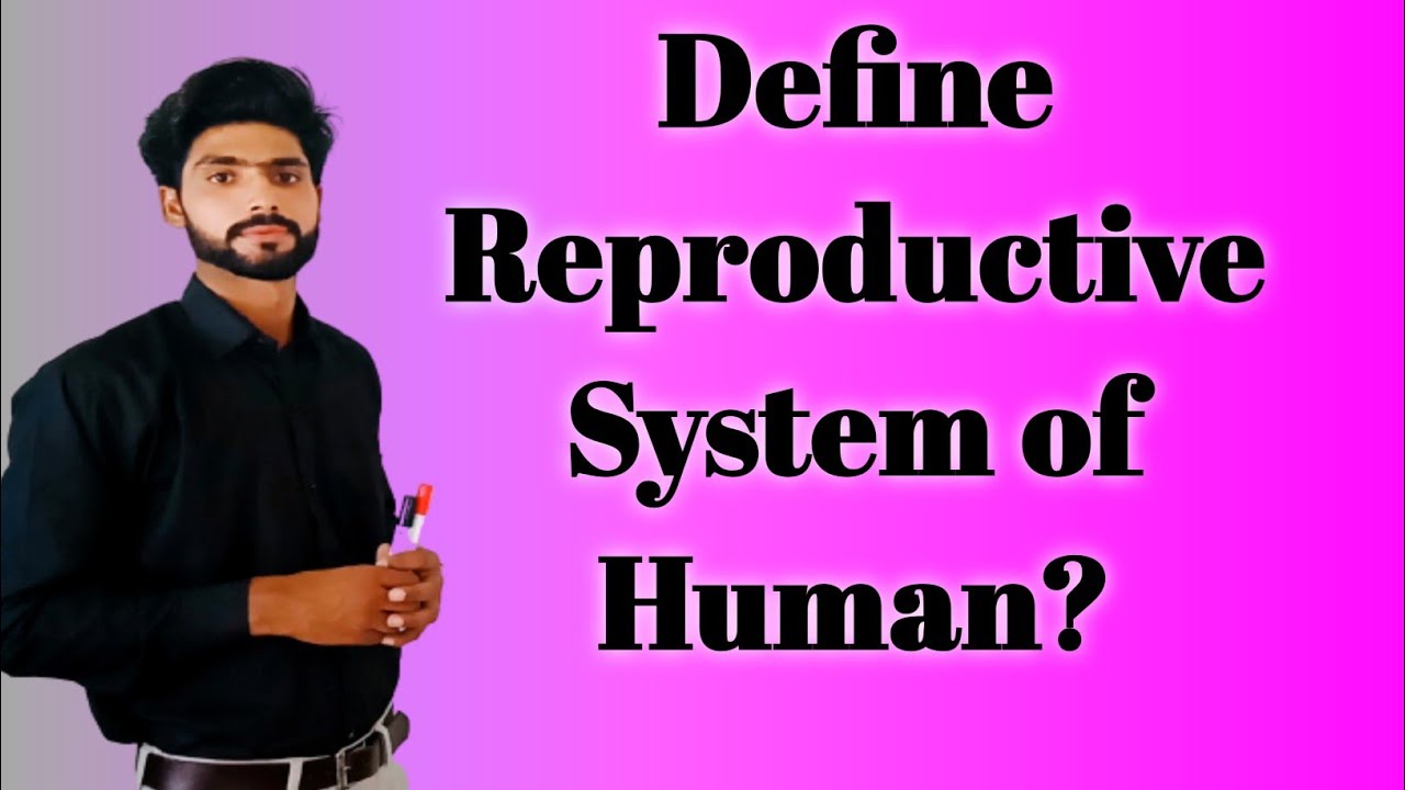 Define reproductive system of human | Define Reproduction ...