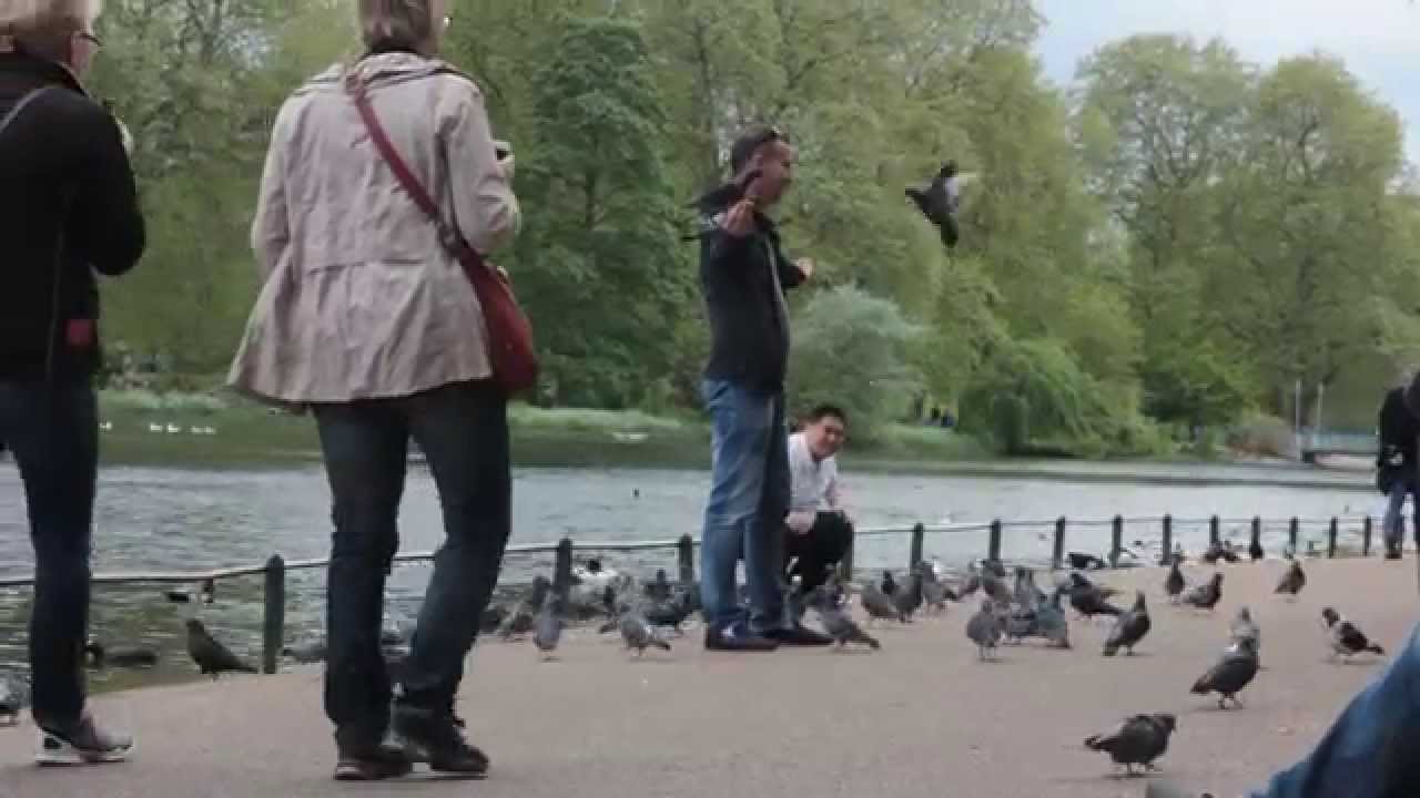 Fliegende Ratten in London (London2014 Part 5) - YouTube