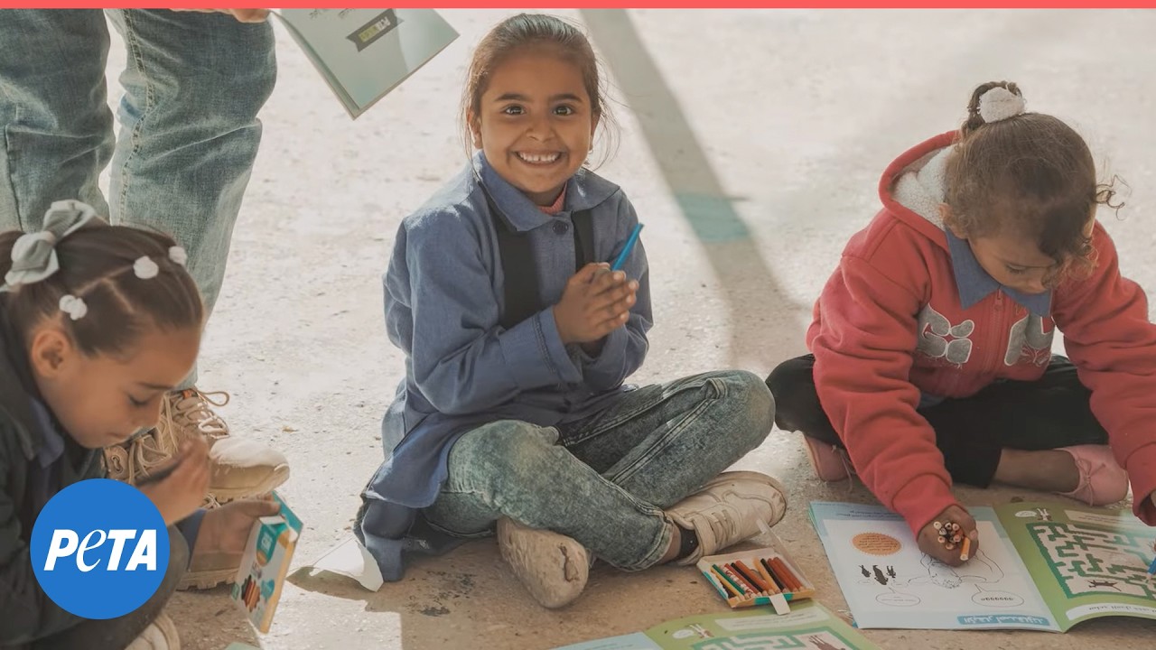 Fun Lessons About Remarkable Animals - YouTube