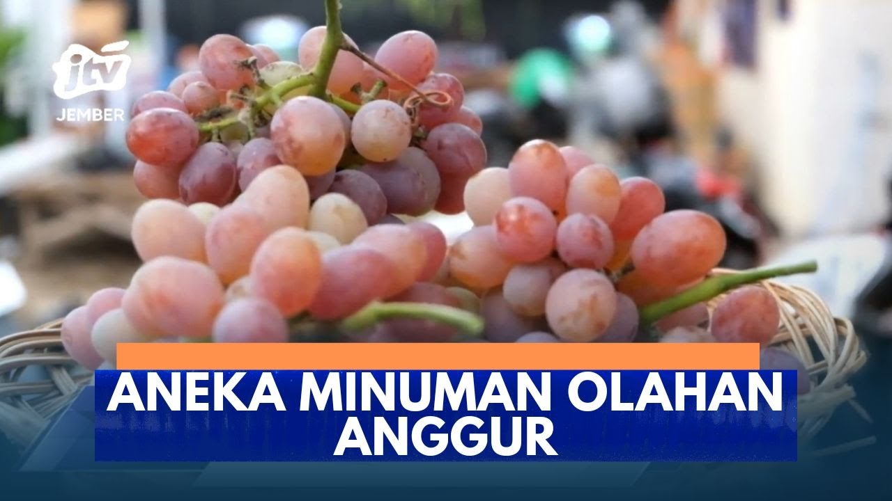 ANEKA MINUMAN OLAHAN ANGGUR - YouTube