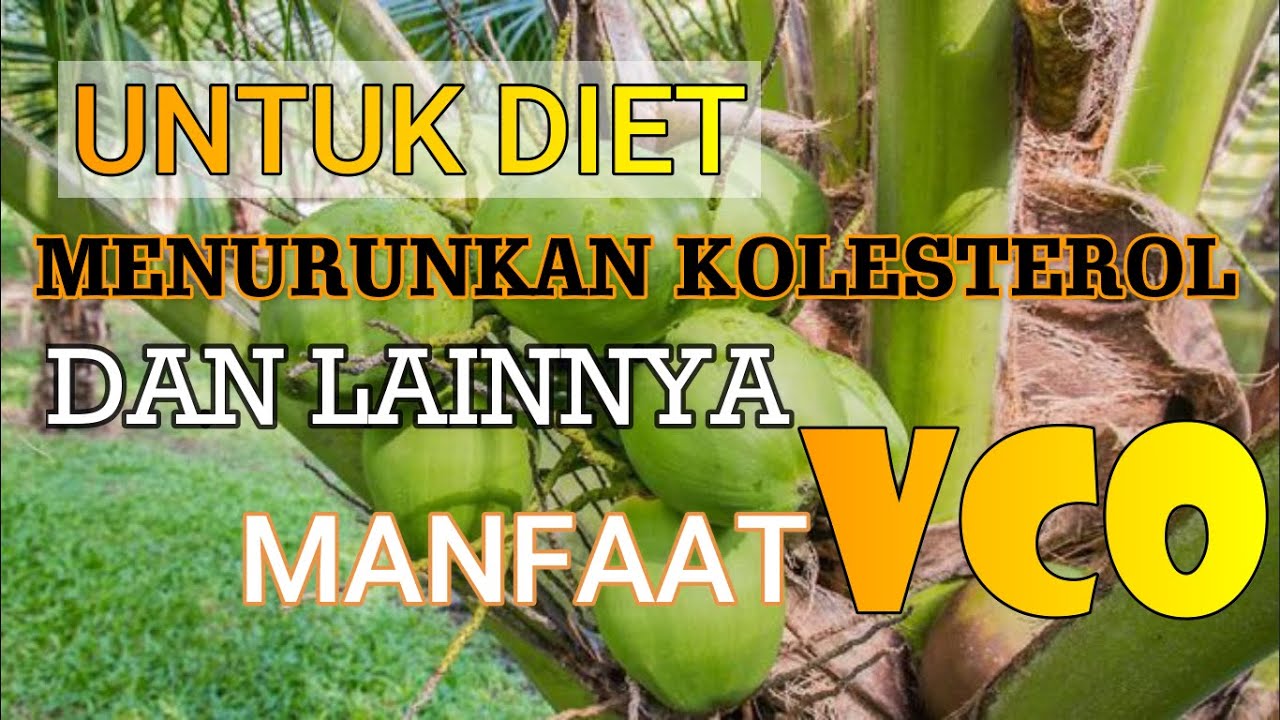 VCO ||Manfaat&Cara Pembuatannya|| Untuk Diet,Menurunkan Kolesterol ...