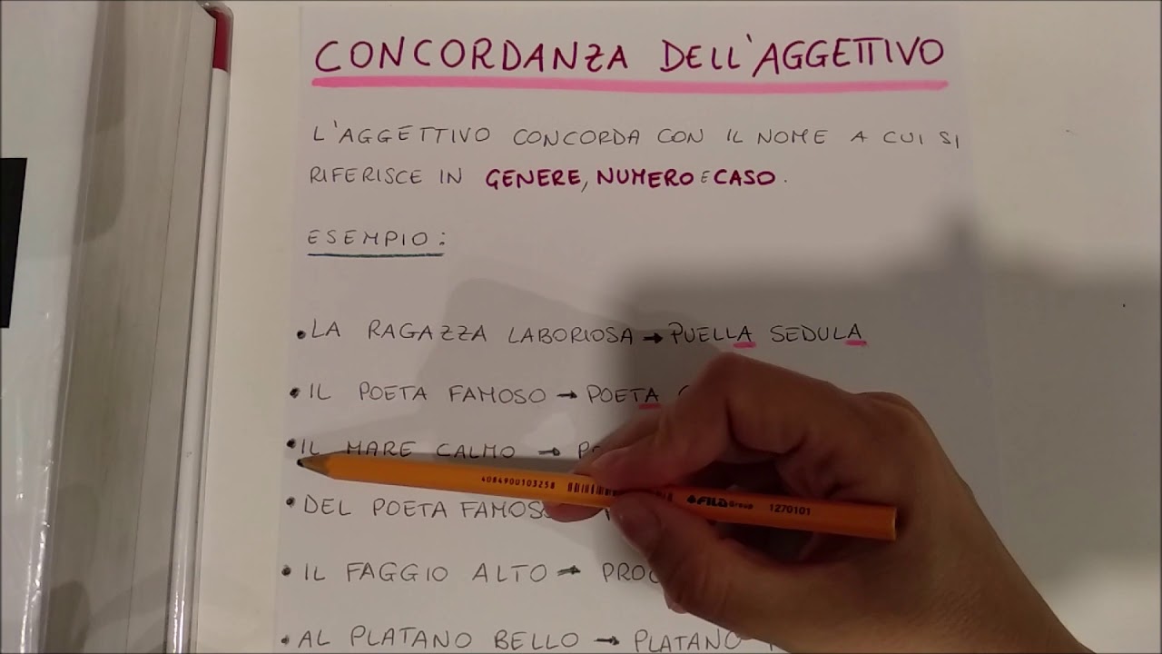 lezione 13 - concordanza dell'aggettivo con il sostantivo - YouTube
