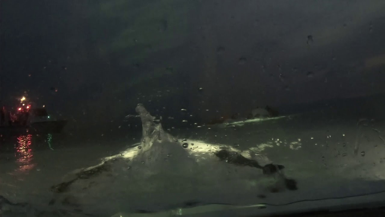 Flathead Lake Monster