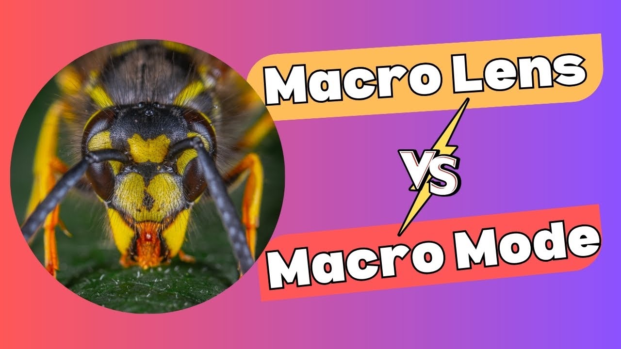 Macro Camera Mode Vs. External Macro Lens | Feat. Vivo X100 - YouTube