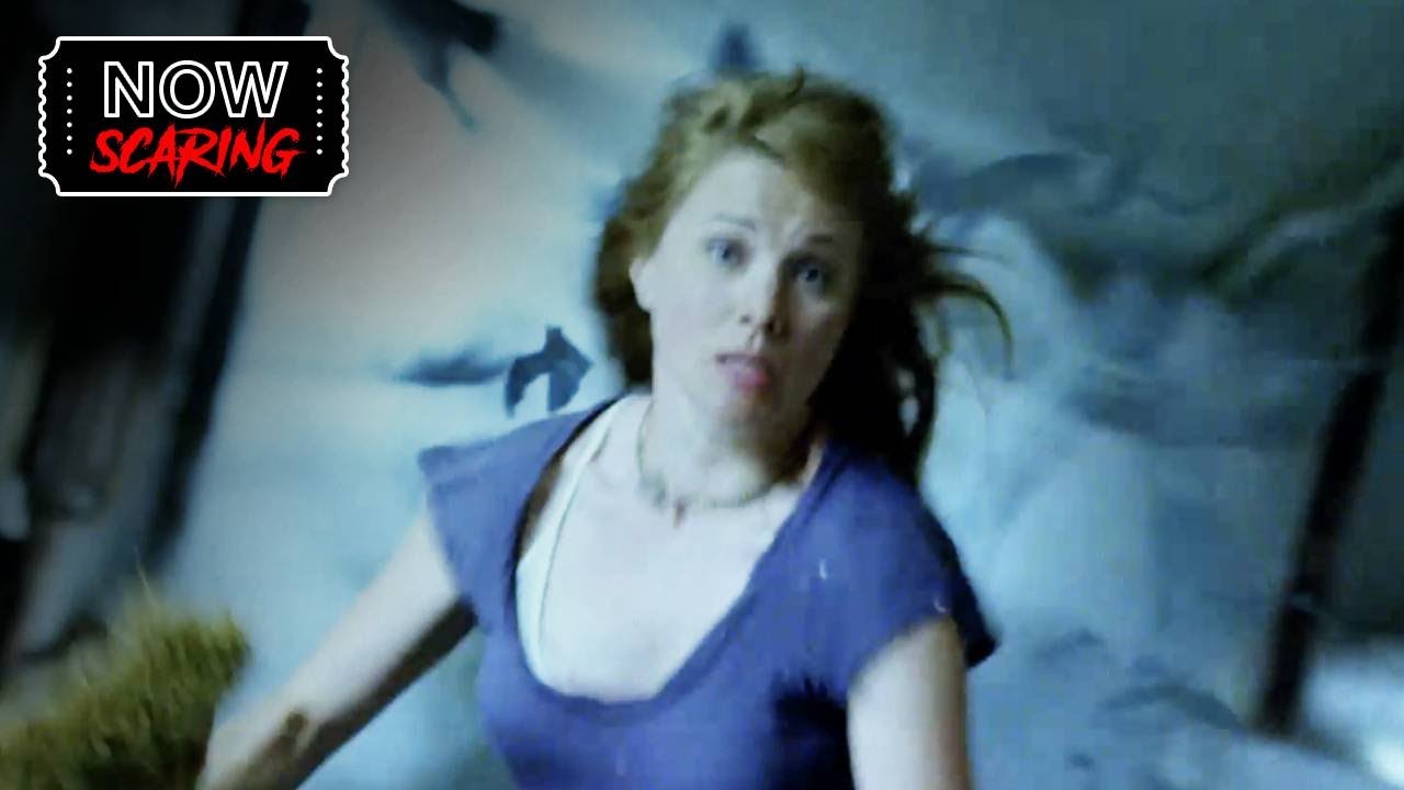 Vampire Bats | Steamed Bat - YouTube