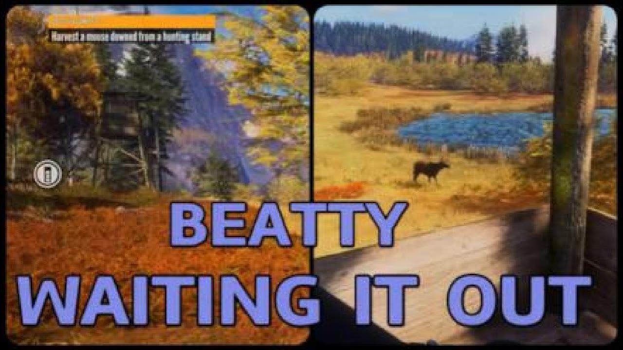 The hunter COTW BEATTY - WAITING IT OUT , MOOSE HUNTING STAND Willipeg ...