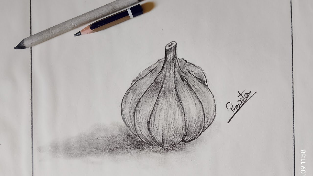 Simple garlic sketch//How to draw garlic sketch - YouTube