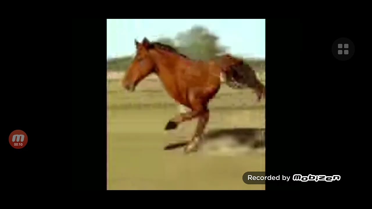 How Jorge Yusay walking like 2 Legged Horse - YouTube