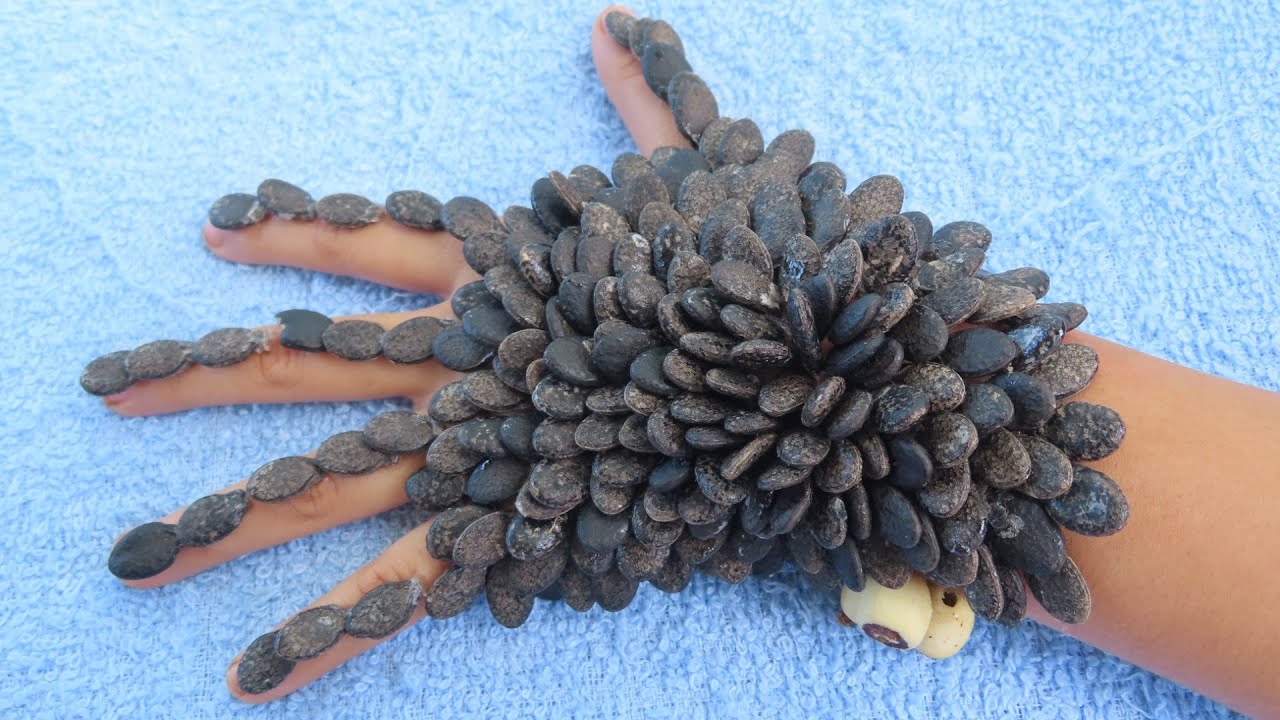 How to remove black ticks style on hand | Designed from fruit seeds ...