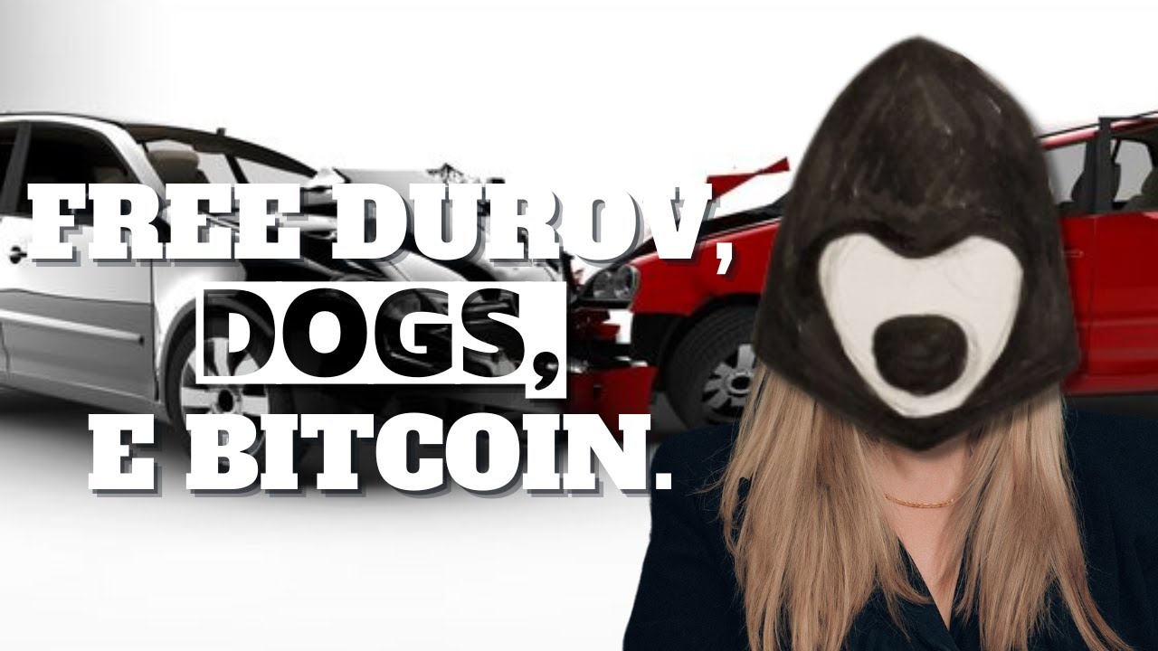 AIRDROP DOGS MOVIMENTANDO O MERCADO CRIPTO E O BITCOIN ESTACIONA! - YouTube