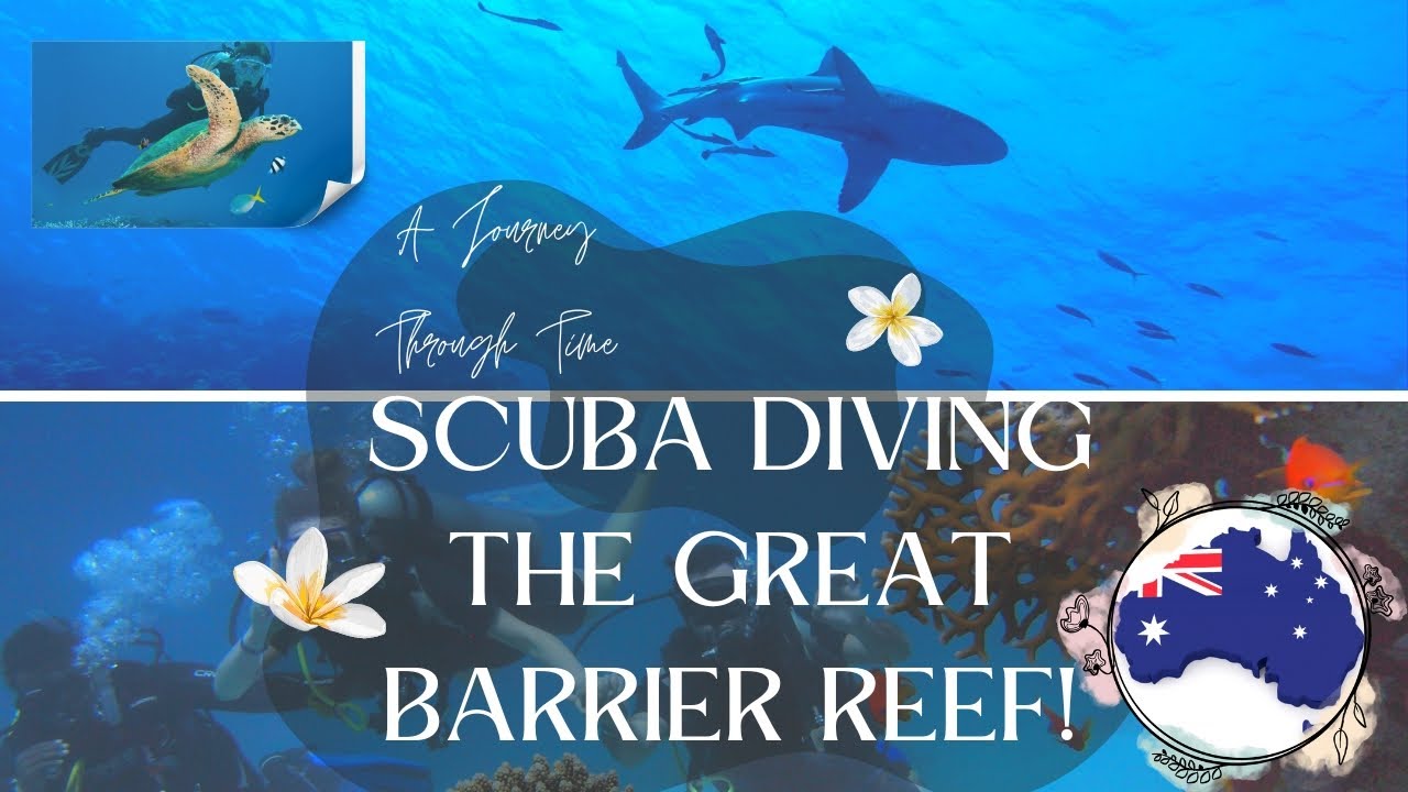 Dive into a Rainbow Paradise: Scuba Diving the Great Barrier Reef! 🇦🇺 ...