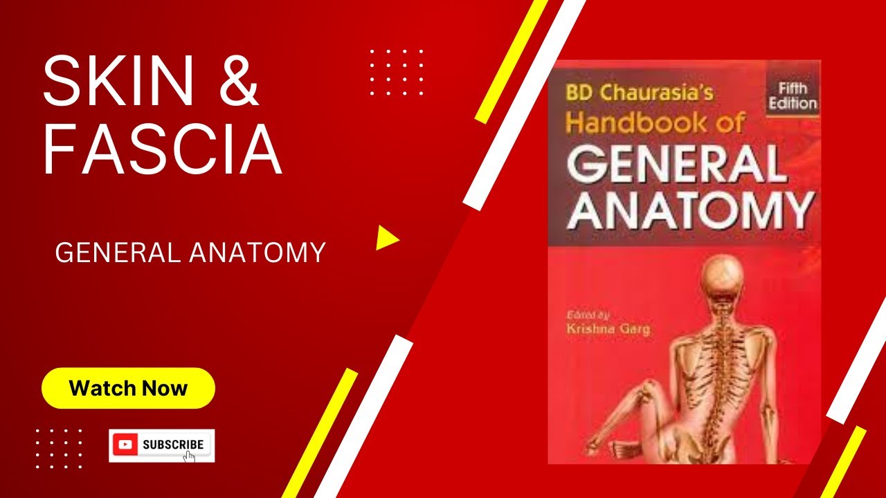 SKIN AND FASCIA [ GENERAL ANATOMY ]SIMPLIFIED - YouTube