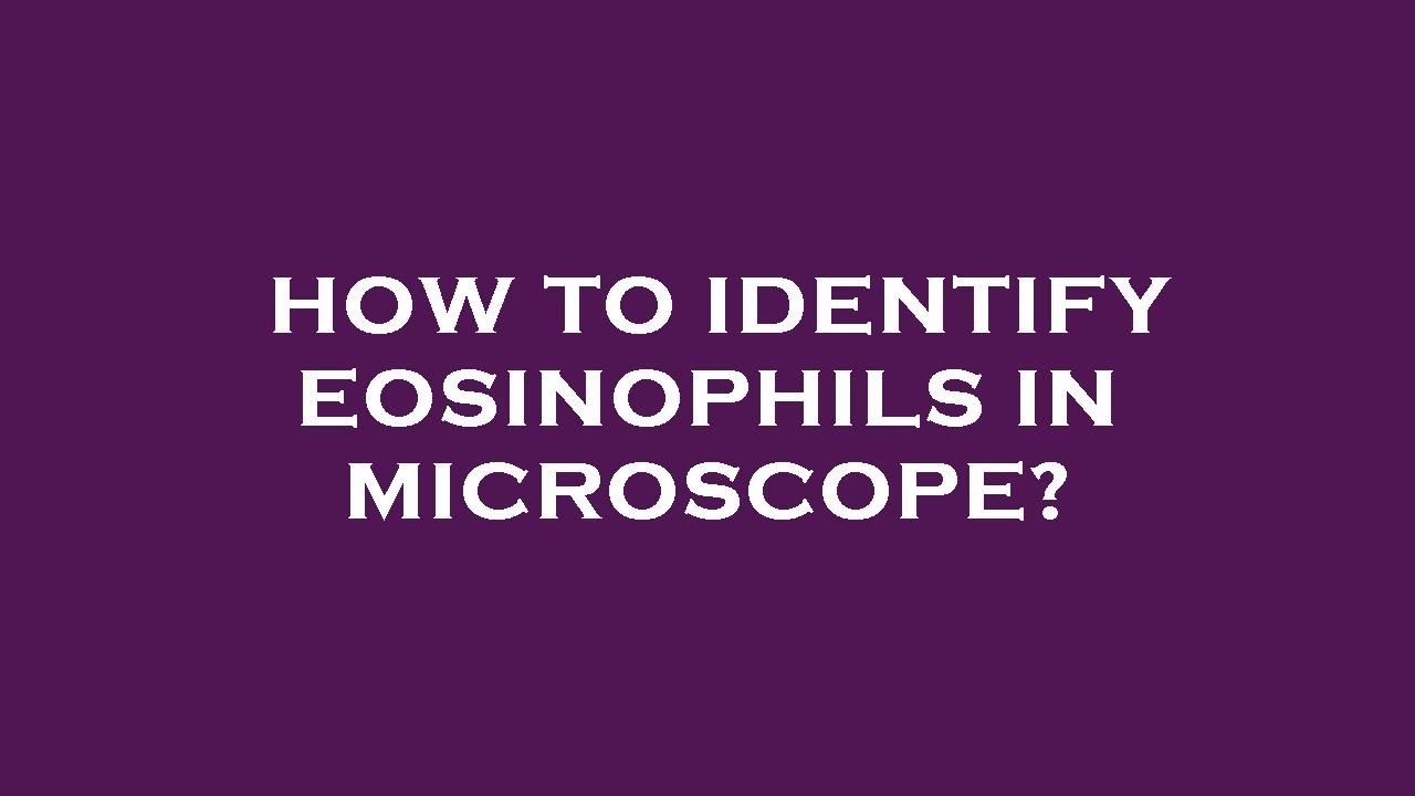 How to identify eosinophils in microscope? - YouTube
