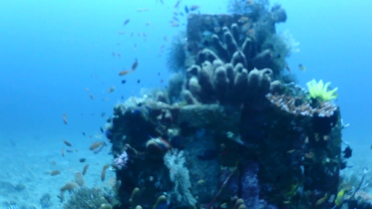 발리 스쿠버다이빙 #피라미드3 / Diving in BALI #pyramids - YouTube