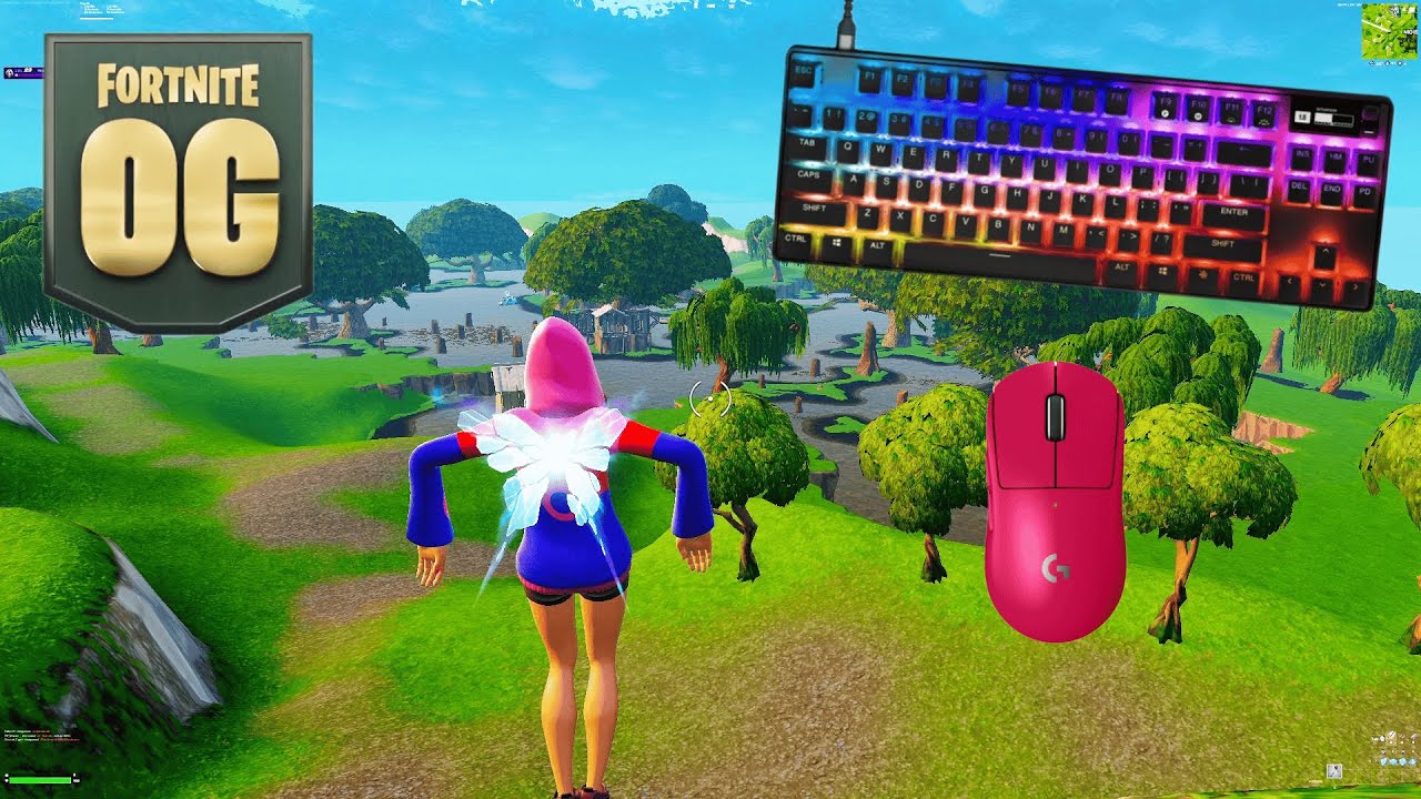SteelSeries Apex Pro TKL ASMR 😴 OG Fortnite Solo 🏆 Satisfying Keyboard ...