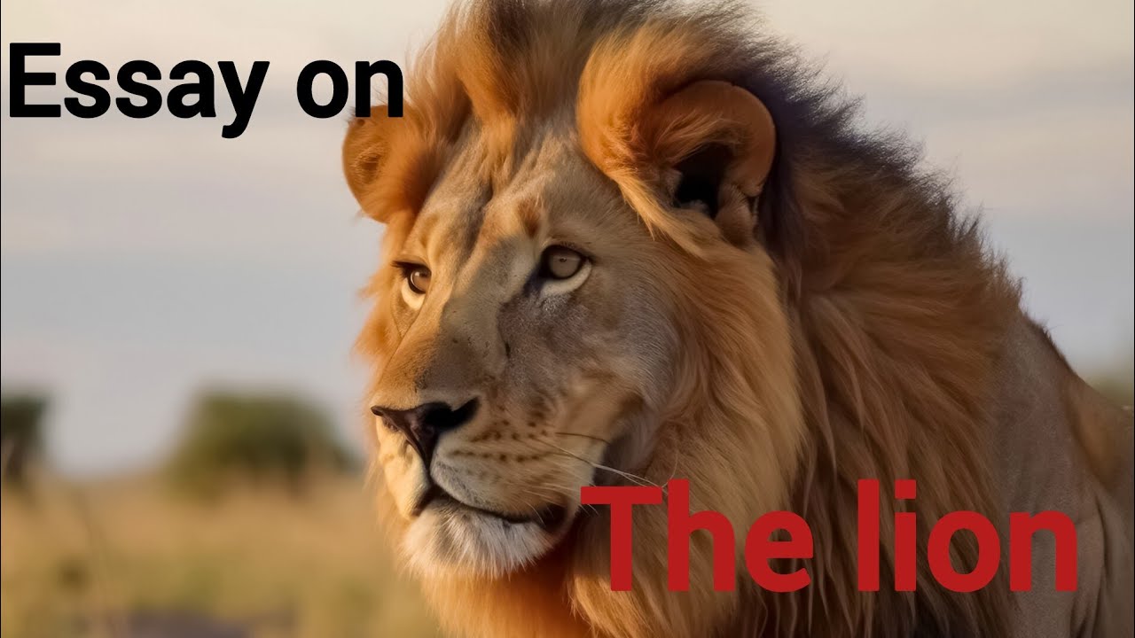 paragraph on lion/paragraph on the lion/the lion essay/paragraph ...