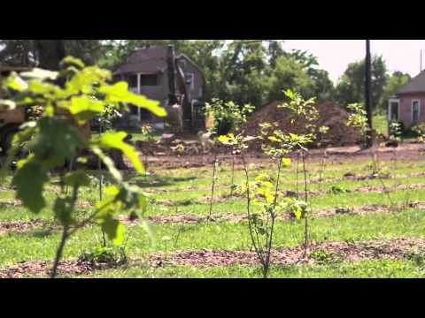 John Hantz Speaks on the Opportunities in Detroit - YouTube