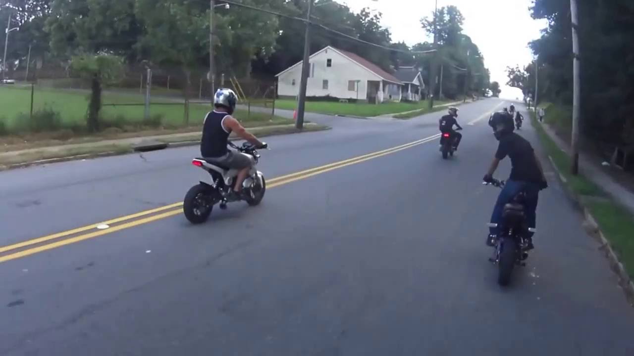 BEST Honda Grom wheelies - YouTube