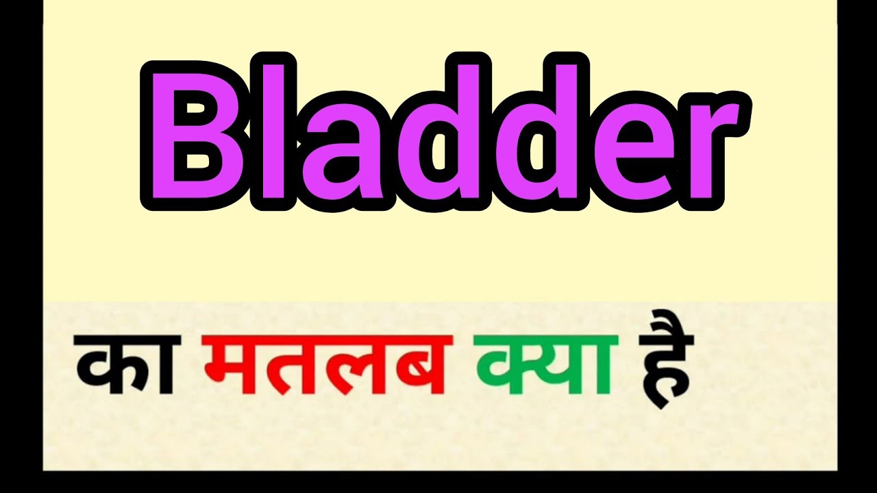 Bladder Meaning In Hindi Bladder Ka Matlab Kya Hota Hai Word