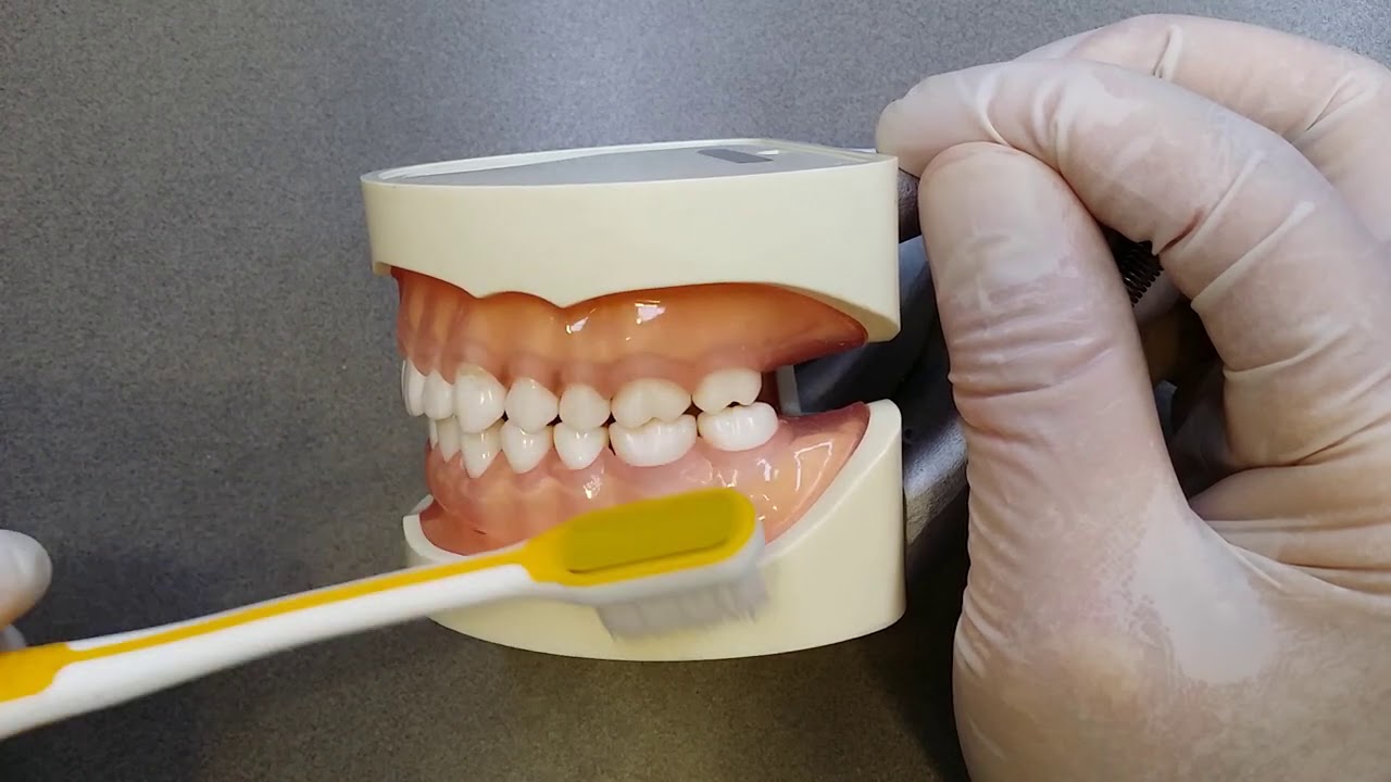 고려생활건강 네오비 잇몸 칫솔 28칫솔질법 - YouTube