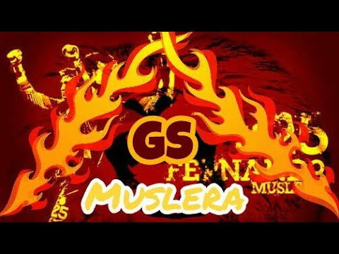 Muslera klip UA (ultra aslan)