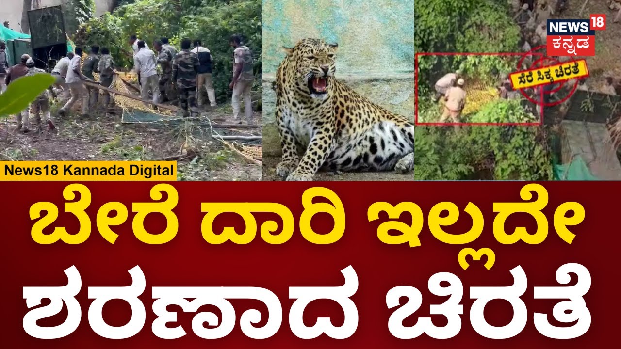 Leopard Rescued In Bengaluru | ಕೊನೆಗೂ ಬಲೆಗೆ ಬಿದ್ದ ಚಿರತೆ | Bangalore ...