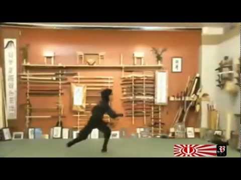 Iran Ninja Women イラン·イスラム共和国のくノ一 زنان نینجا ایران