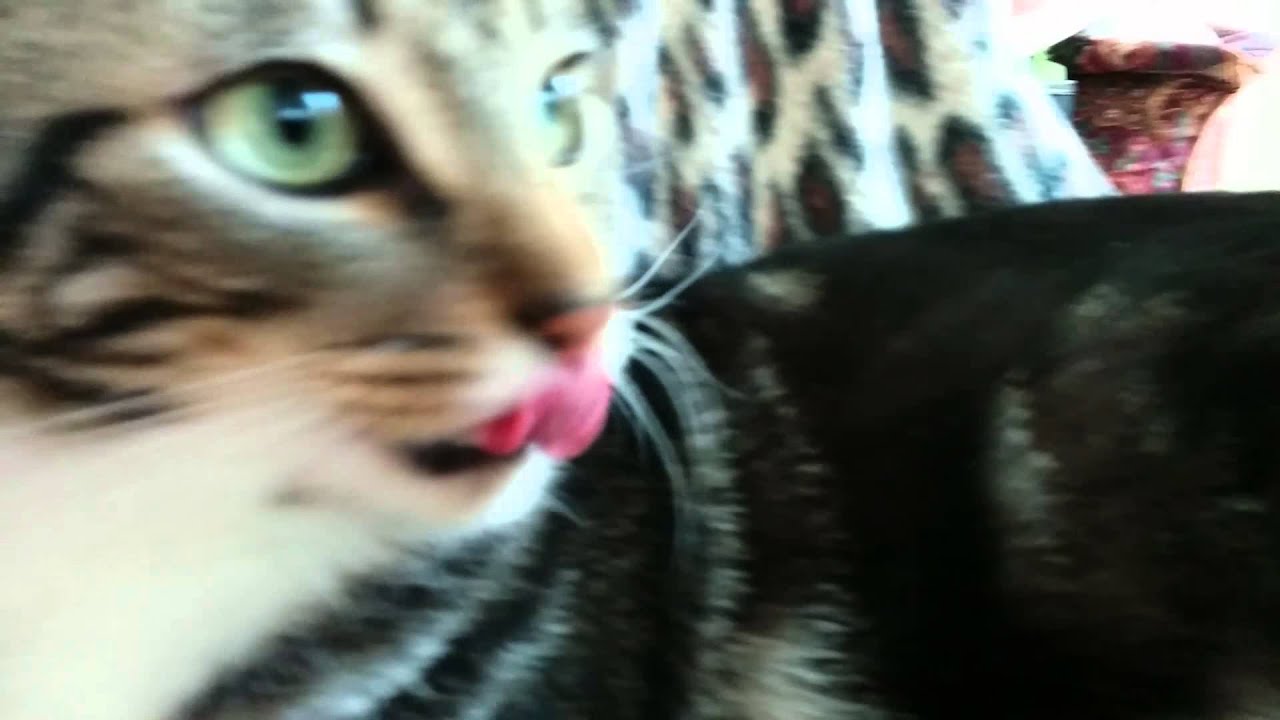 Rivers biting his thingy - YouTube